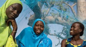 Olyset® Net - Sumitomo Chemical - Environmental Health Division