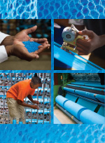 Culex Mosquito - Sumitomo Chemical - Environmental Health Division