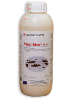 Aedes Mosquito - Sumitomo Chemical - Environmental Health Division