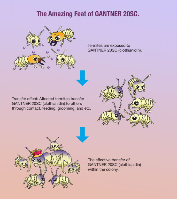 GANTNER 20SC - Sumitomo Chemical - Environmental Health Division